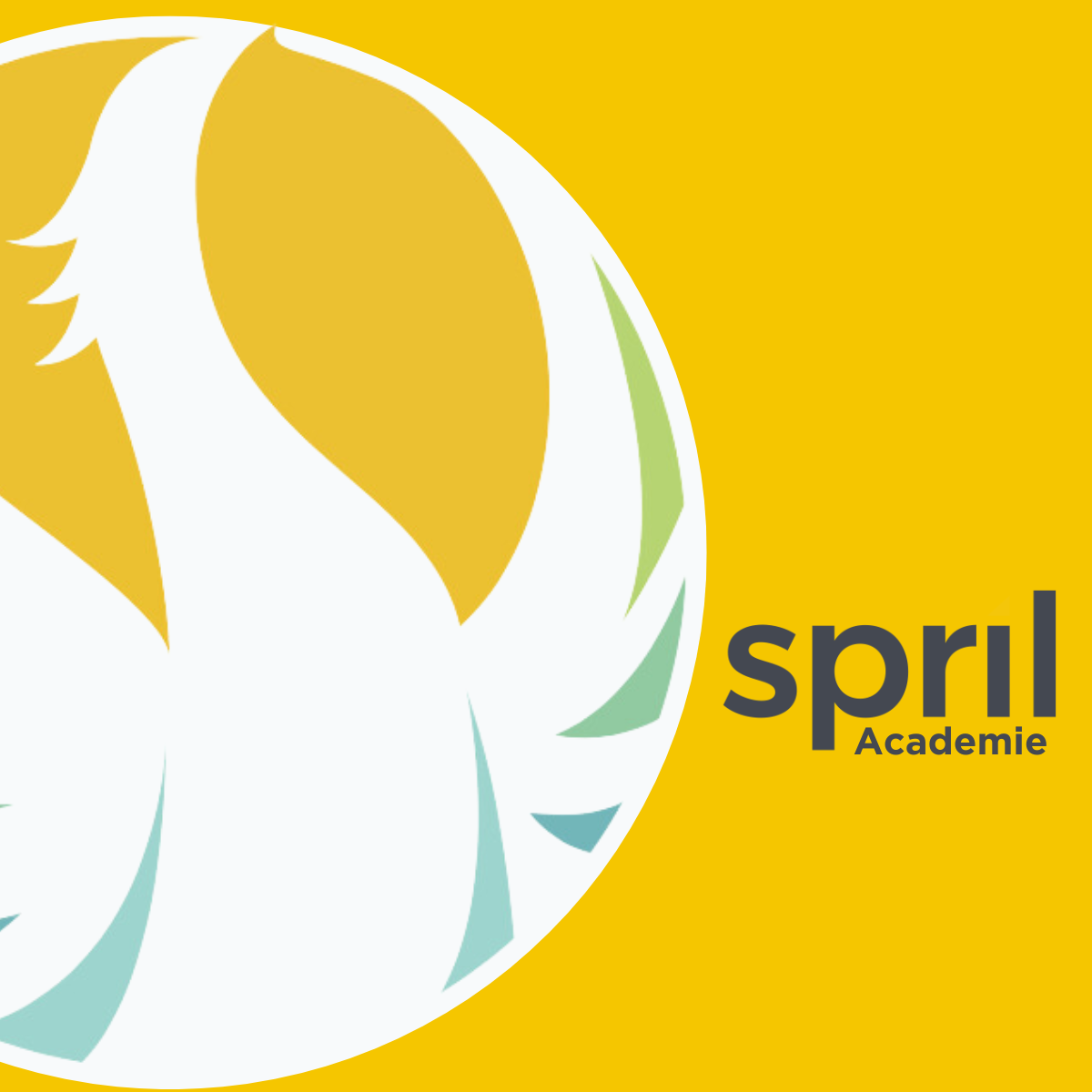 Maatwerkopleiding - Spril